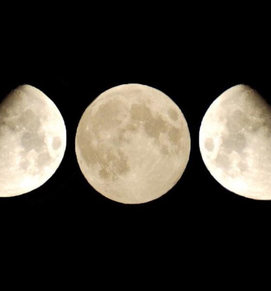 ¡Descubre las fases de la Luna en marzo 2024! – JPQ
